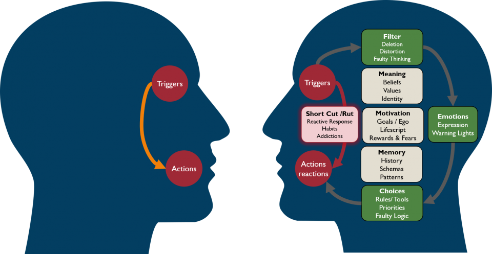 Overview ⋆ Breaking Through Growth Traps